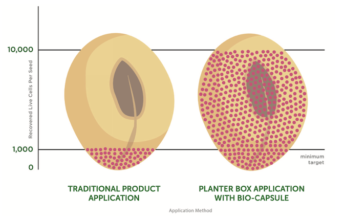 Screenshot 2024 12 11 at 9.40.59 AM